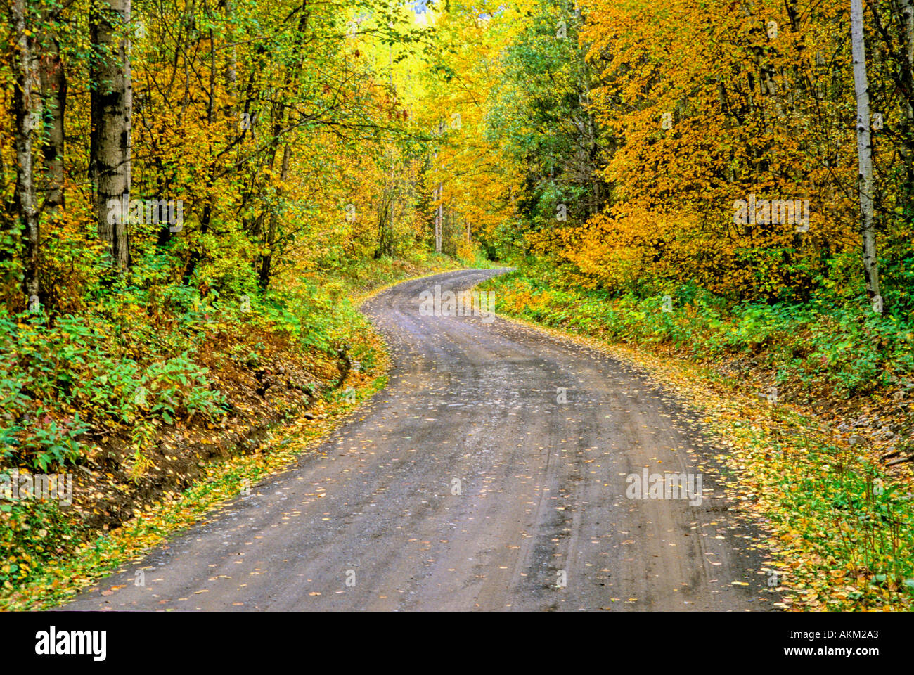 Curved country lane hi-res stock photography and images - Alamy