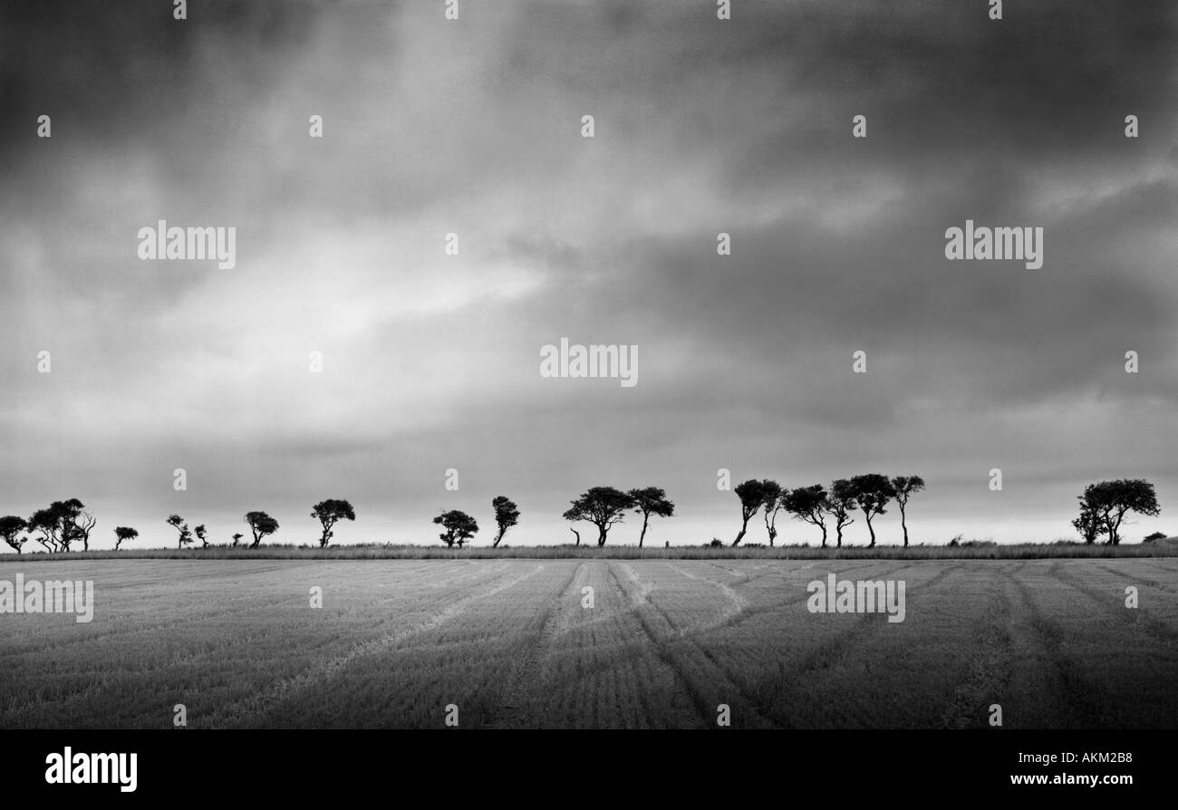 Europe united kingdom uk england Black and White Stock Photos & Images ...