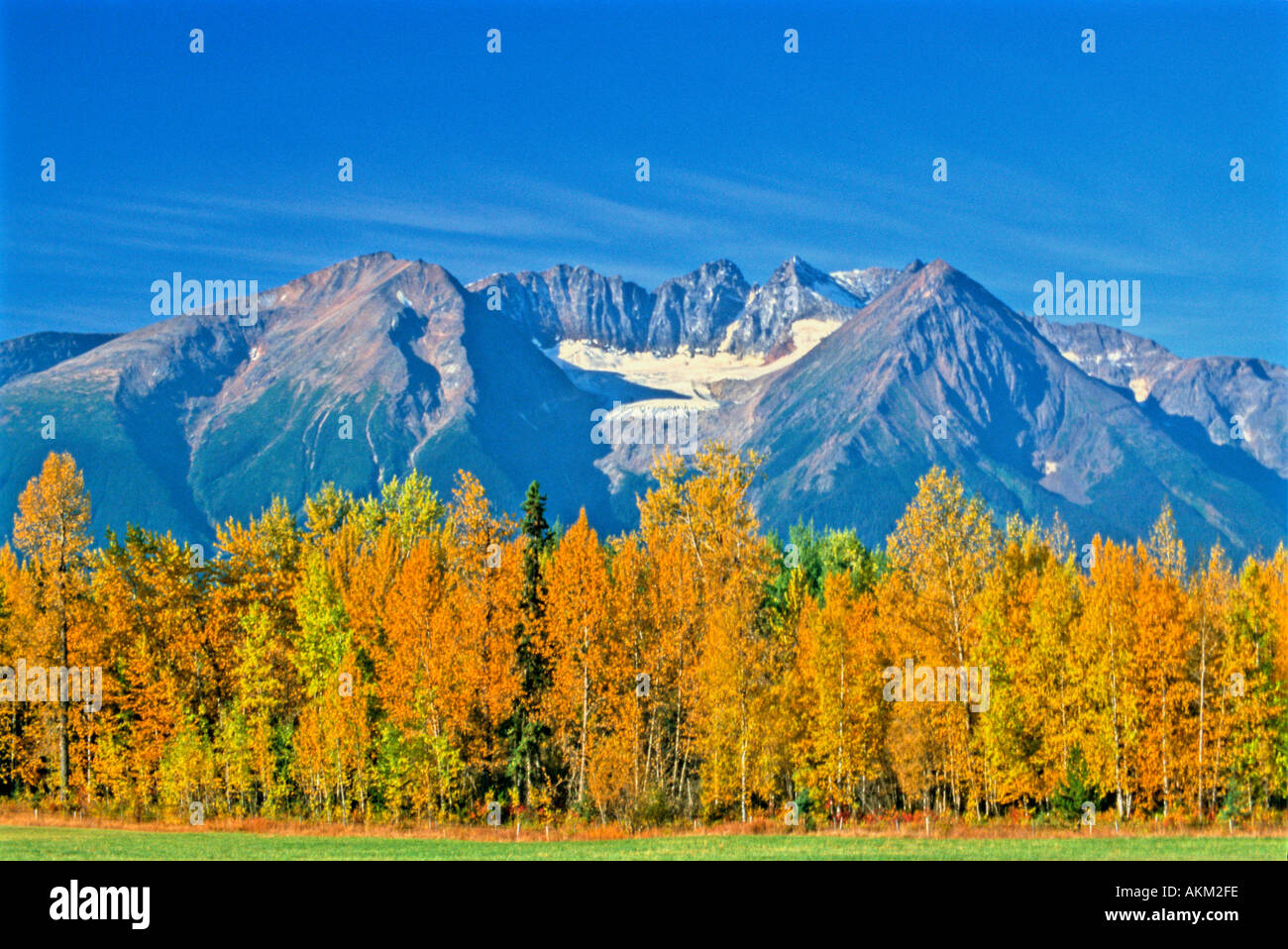 Hudson Bay Mountain autumn colors Stock Photo - Alamy