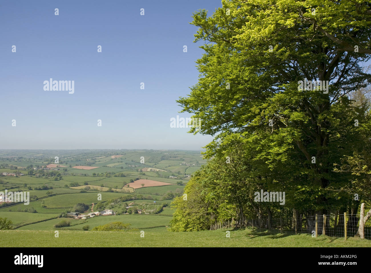 Rolling farmland on the northern side of Cadbury Castle Fort in mid ...