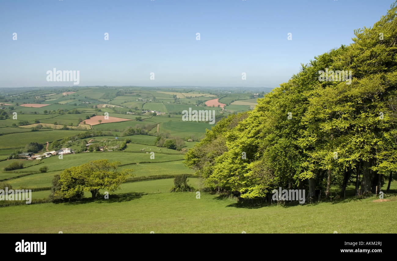 Cadbury castle hi-res stock photography and images - Alamy