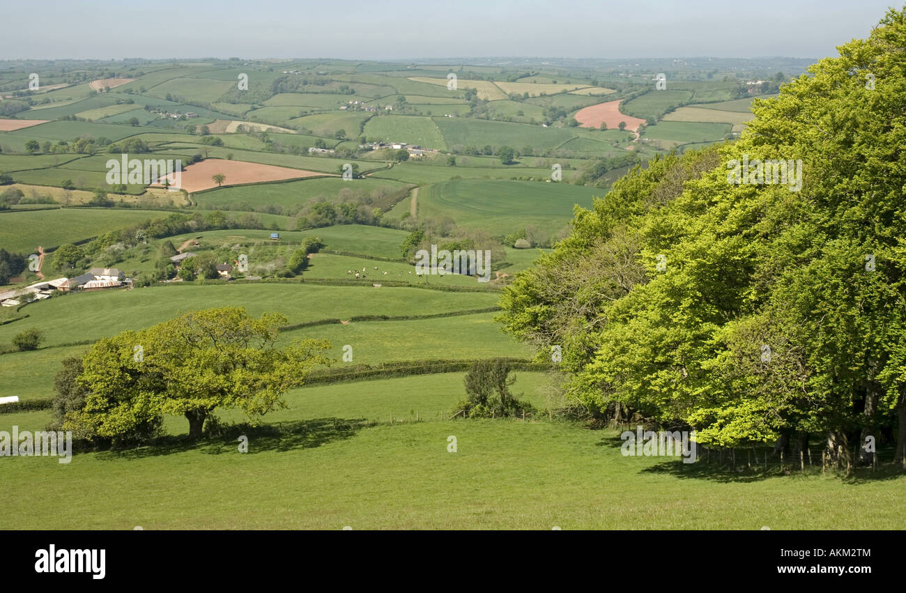 Rolling farmland on the northern side of Cadbury Castle Fort in mid ...