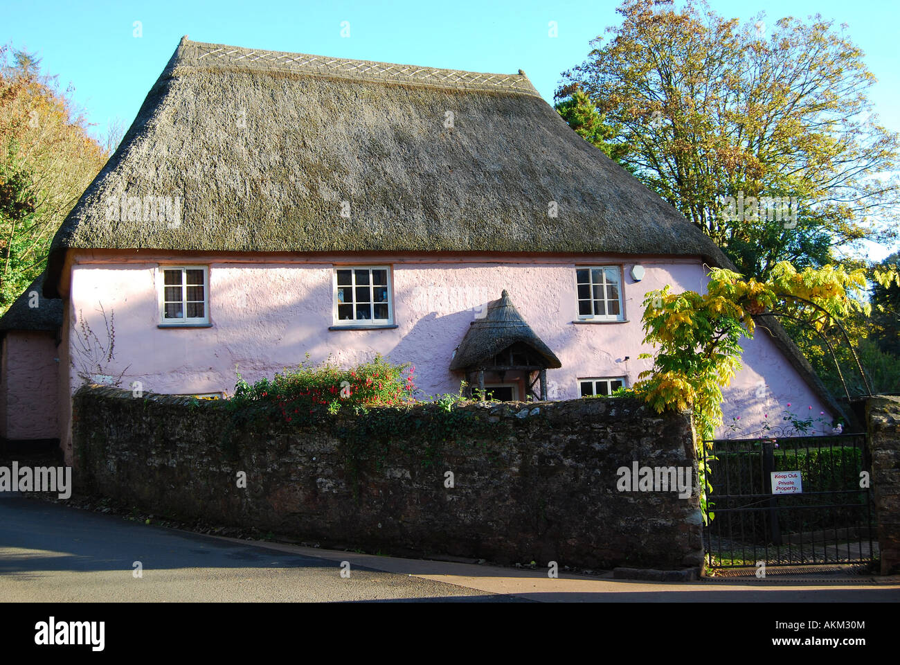 Pink Devon house with thatched roof Stock Photo - Alamy