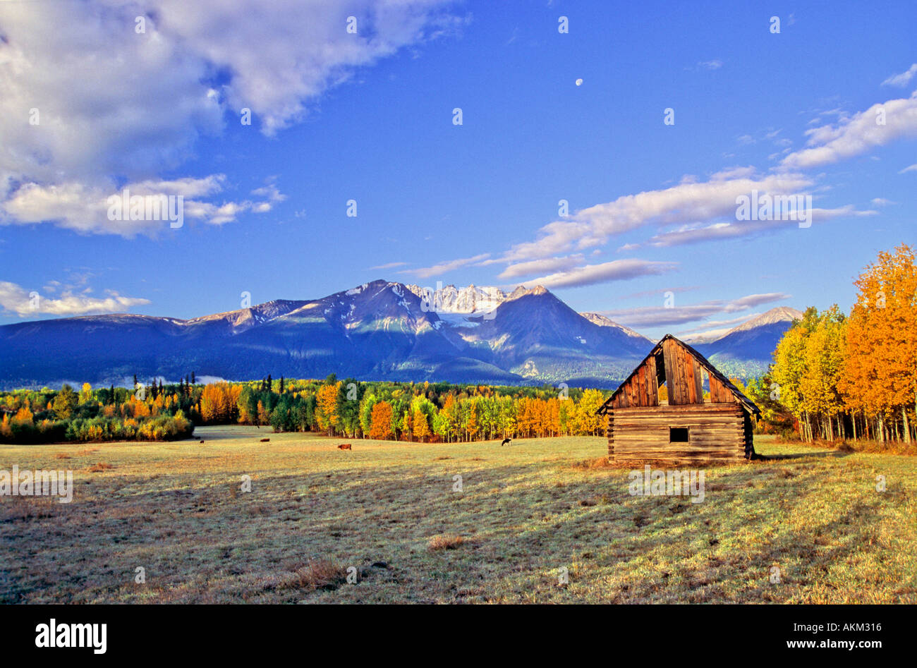 Hudson Bay Mountain autumn colors Stock Photo - Alamy