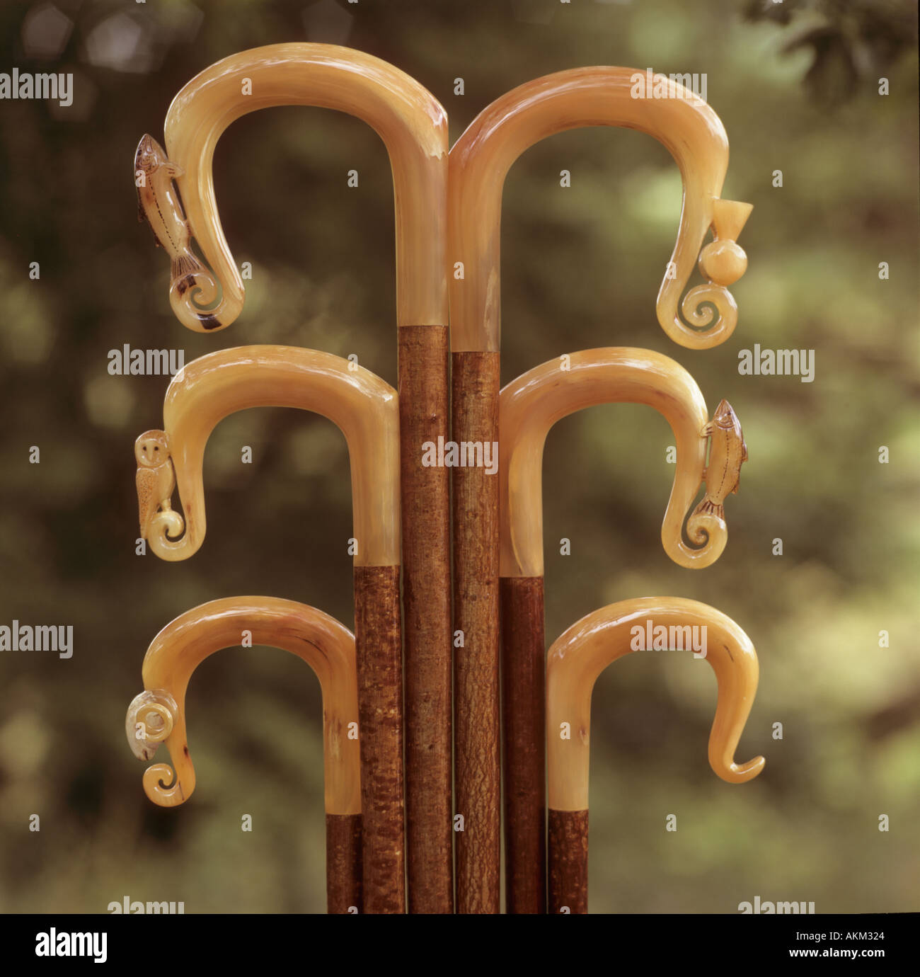 Shepherds Crooks Stock Photo, Royalty Free Image: 2786083 - Alamy