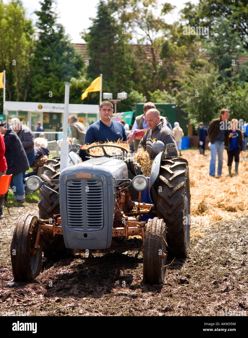 Vintage Tractor, grey tractor massey ferguson Stock Photo - Alamy