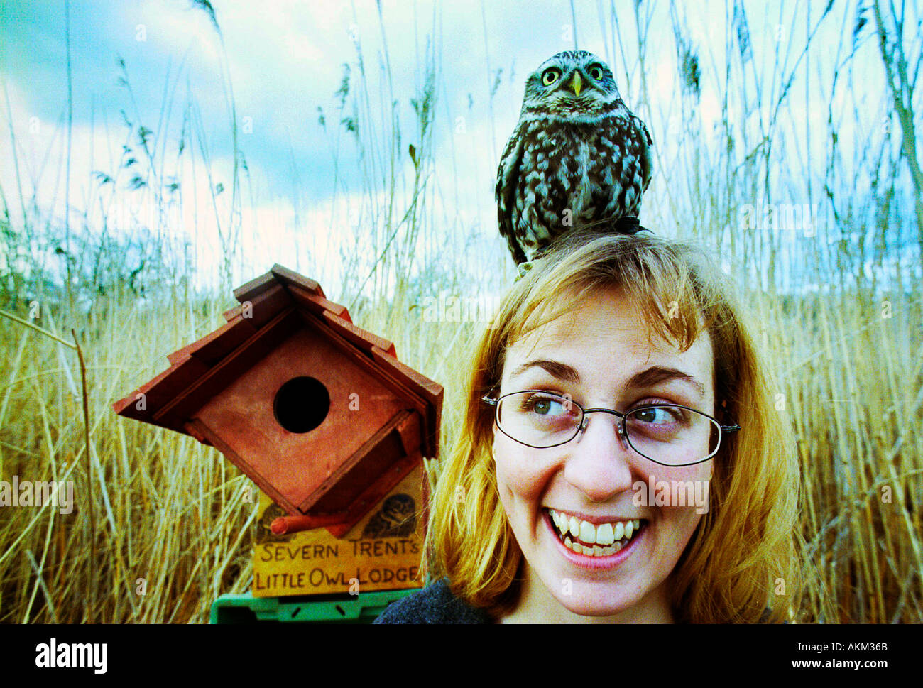 Little owl box hi-res stock photography and images - Alamy