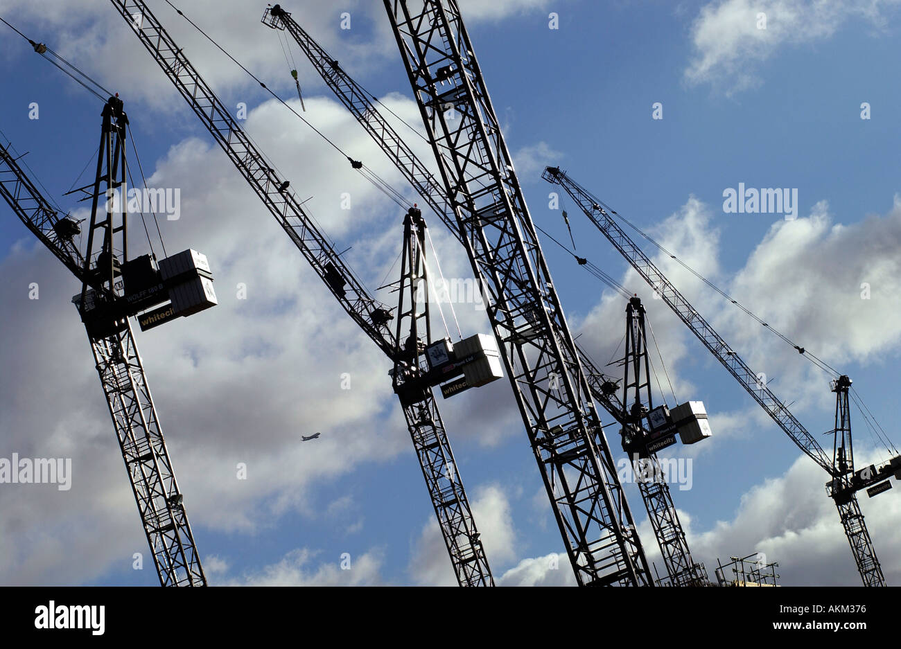 Craning Higher and higher Stock Photo - Alamy