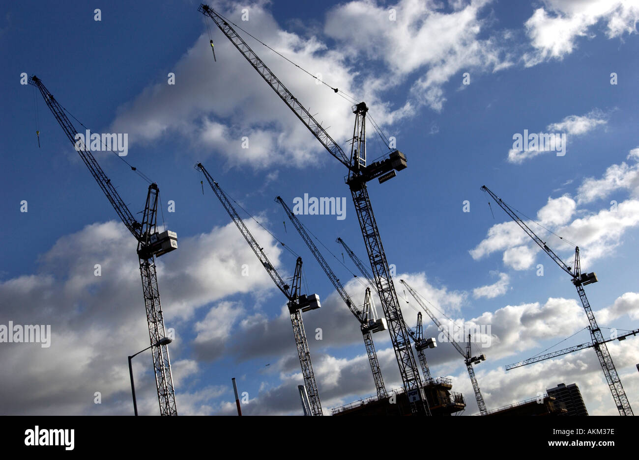 Craning Higher and higher Stock Photo - Alamy