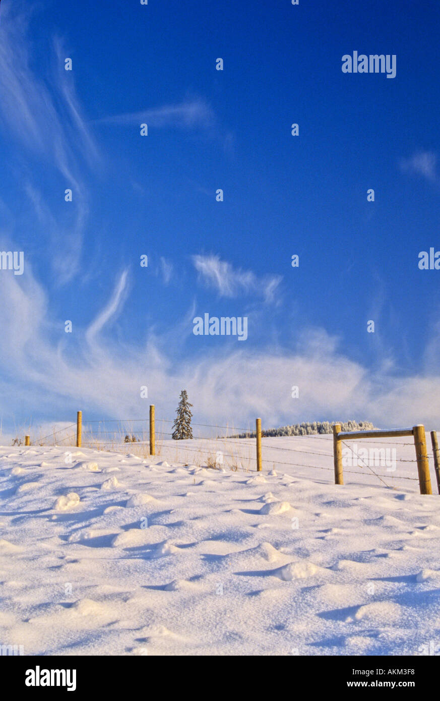 Winter snow fence and tree Stock Photo - Alamy