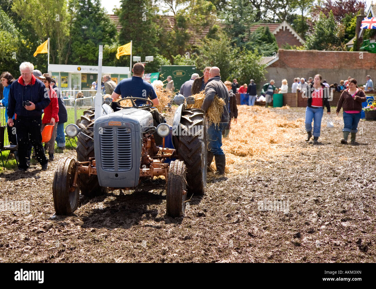 Vintage Tractor, grey tractor massey ferguson agriculture Stock Photo ...