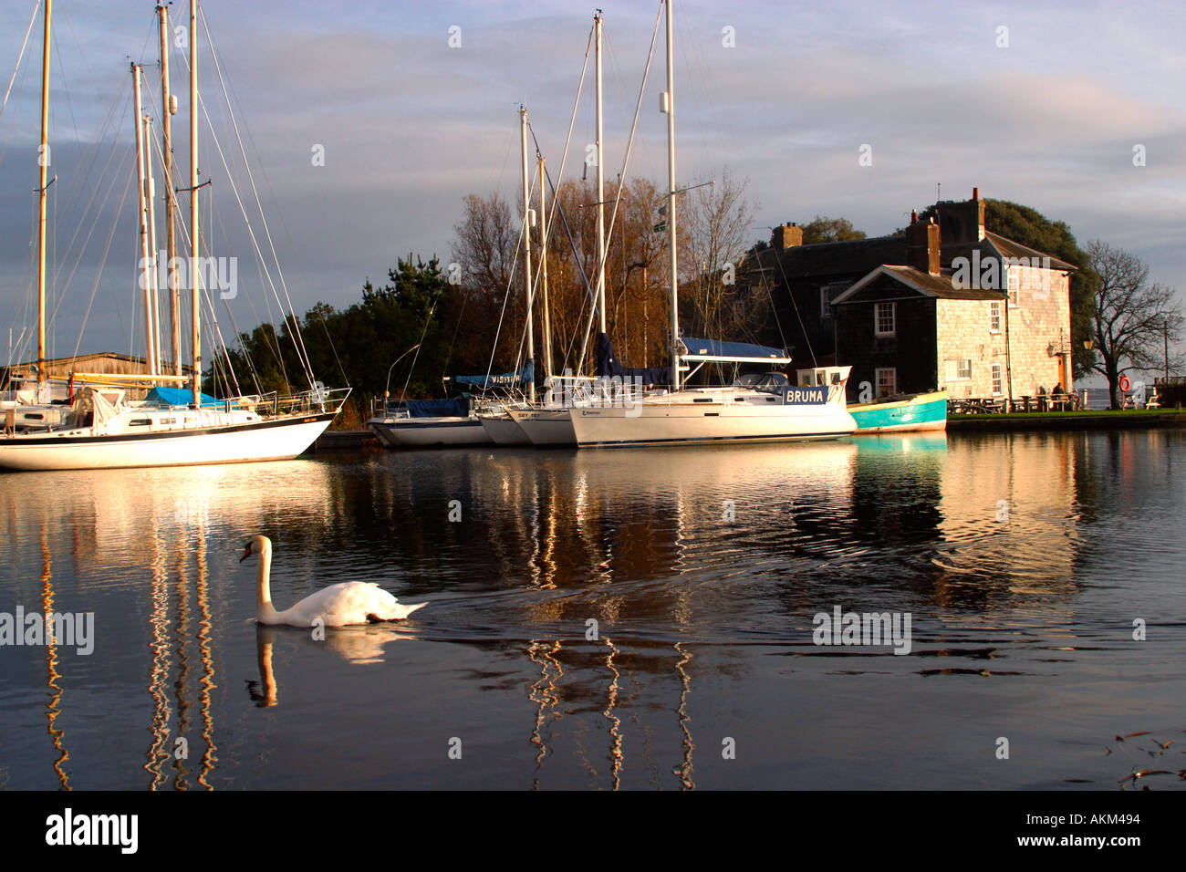 Turf locks pub devon hi-res stock photography and images - Alamy