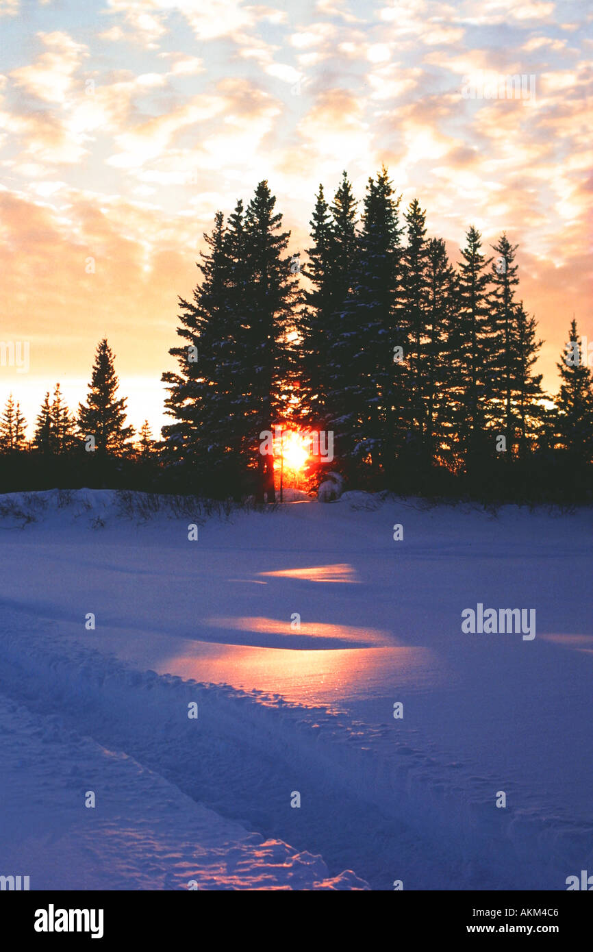 Goose bay labrador hi-res stock photography and images - Alamy