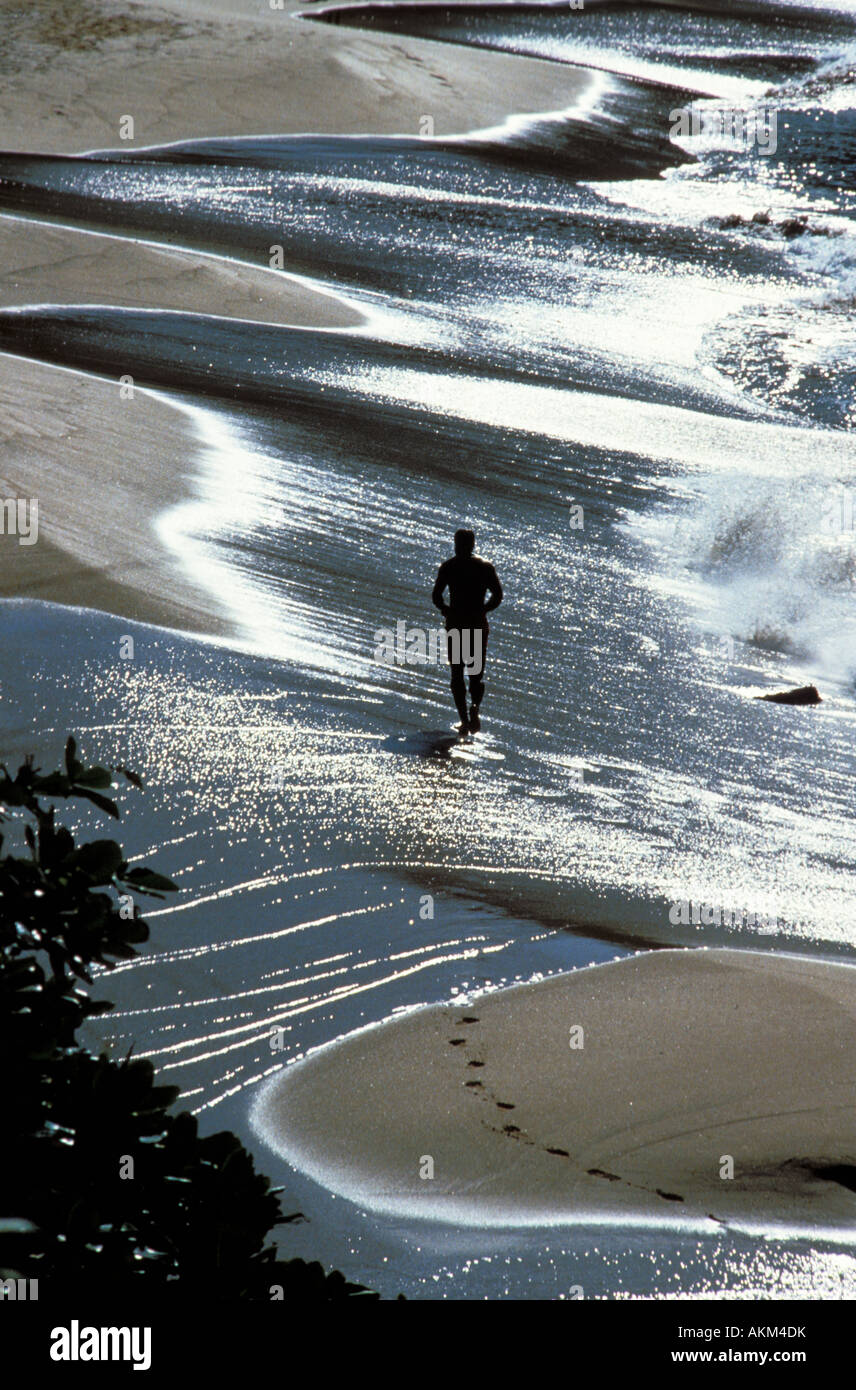 Ann purcell hi-res stock photography and images - Alamy