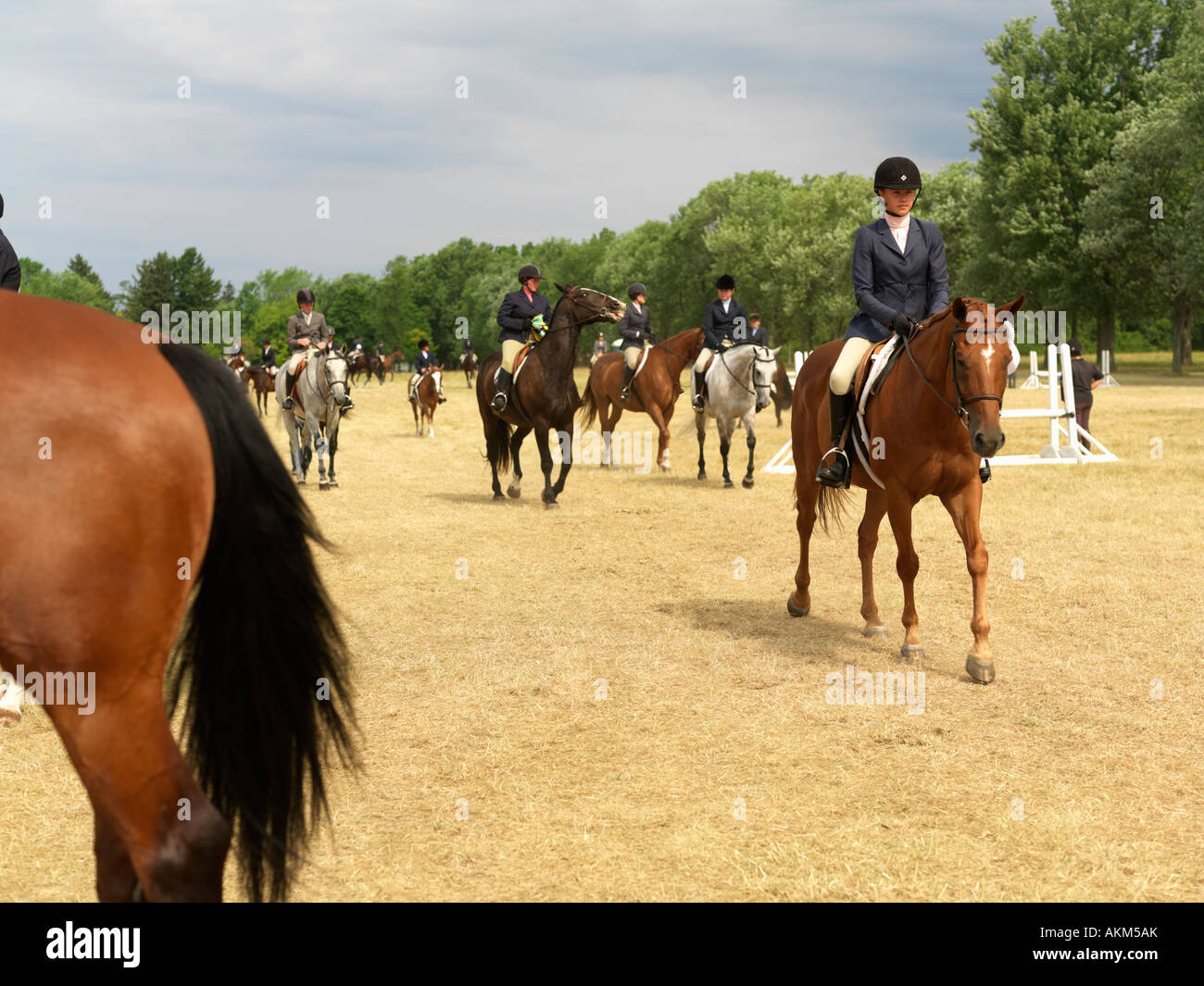 Equestrians ride horses hi-res stock photography and images - Alamy