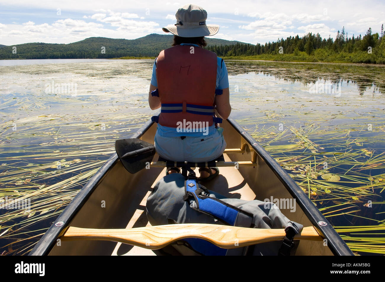 A female canoeist on the Lac Escalier Laurentian Mountains Quebec ...
