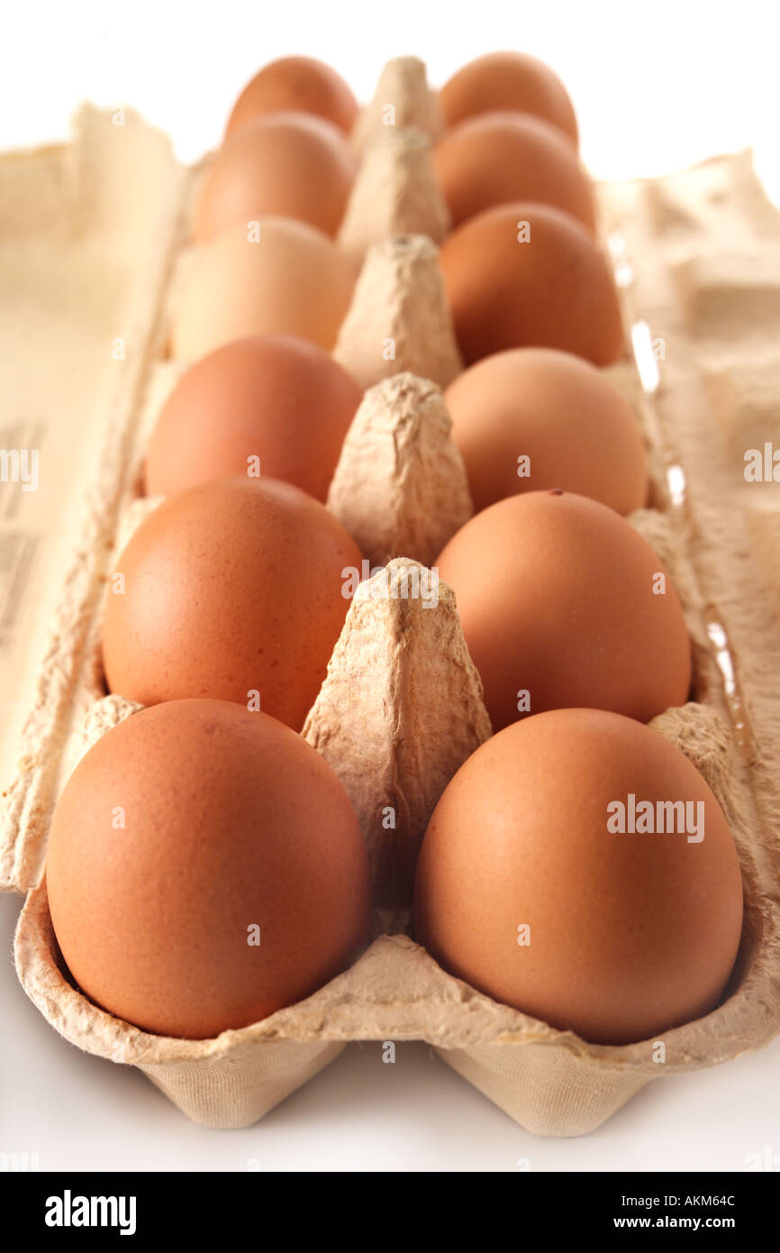 OPEN EGG CARTON FILLED WITH 12 BROWN EGGS Stock Photo - Alamy