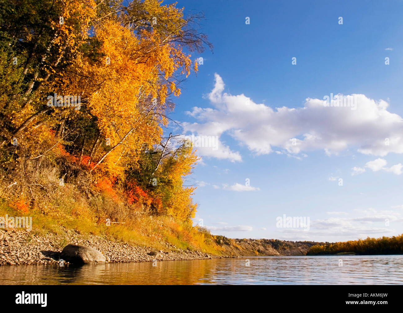 Fall foliage on shoreline Stock Photo - Alamy