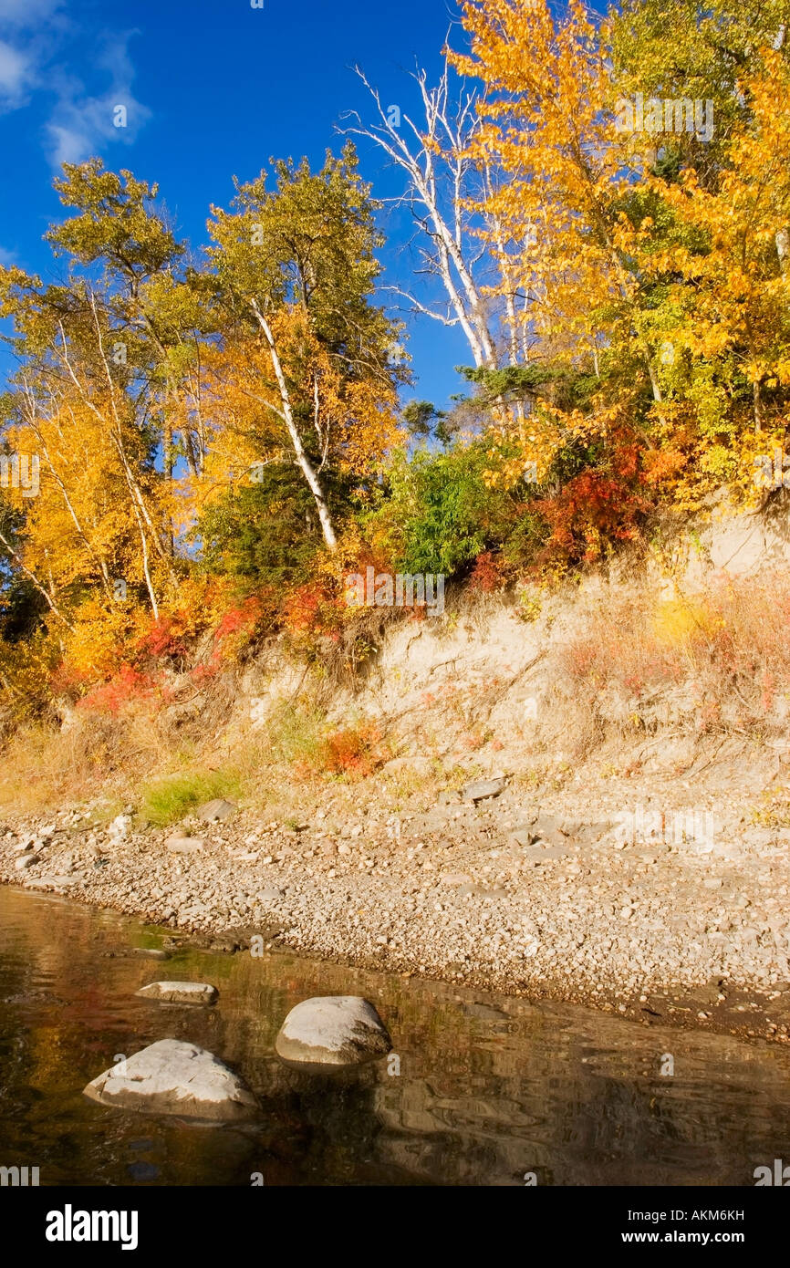Shoreline foliage hi-res stock photography and images - Alamy