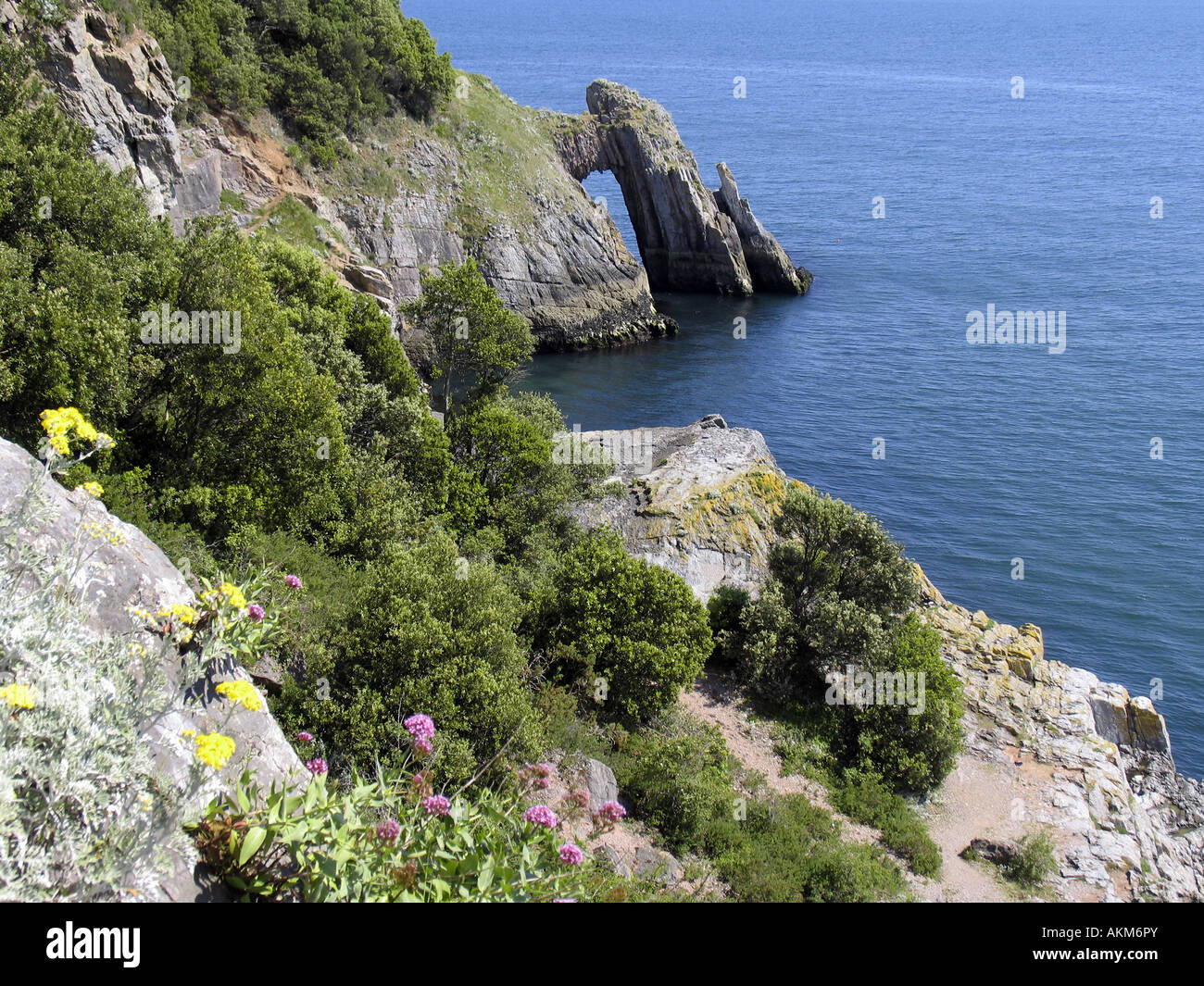 Cliffs View, Torquay, Devon, England, UK Stock Photo - Alamy