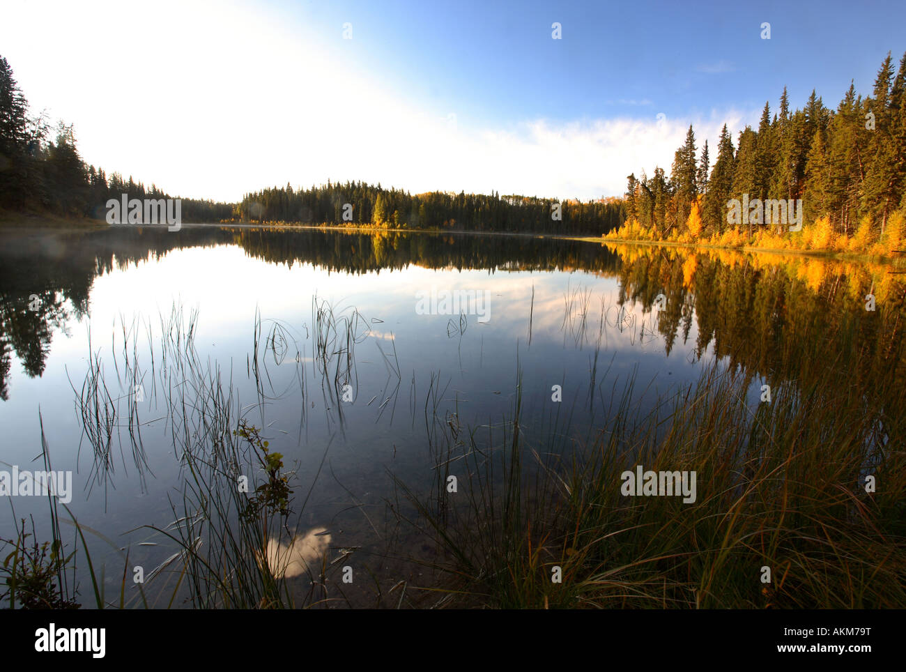 Water reflection at Jade Lake in Northern Saskatchewan Stock Photo - Alamy