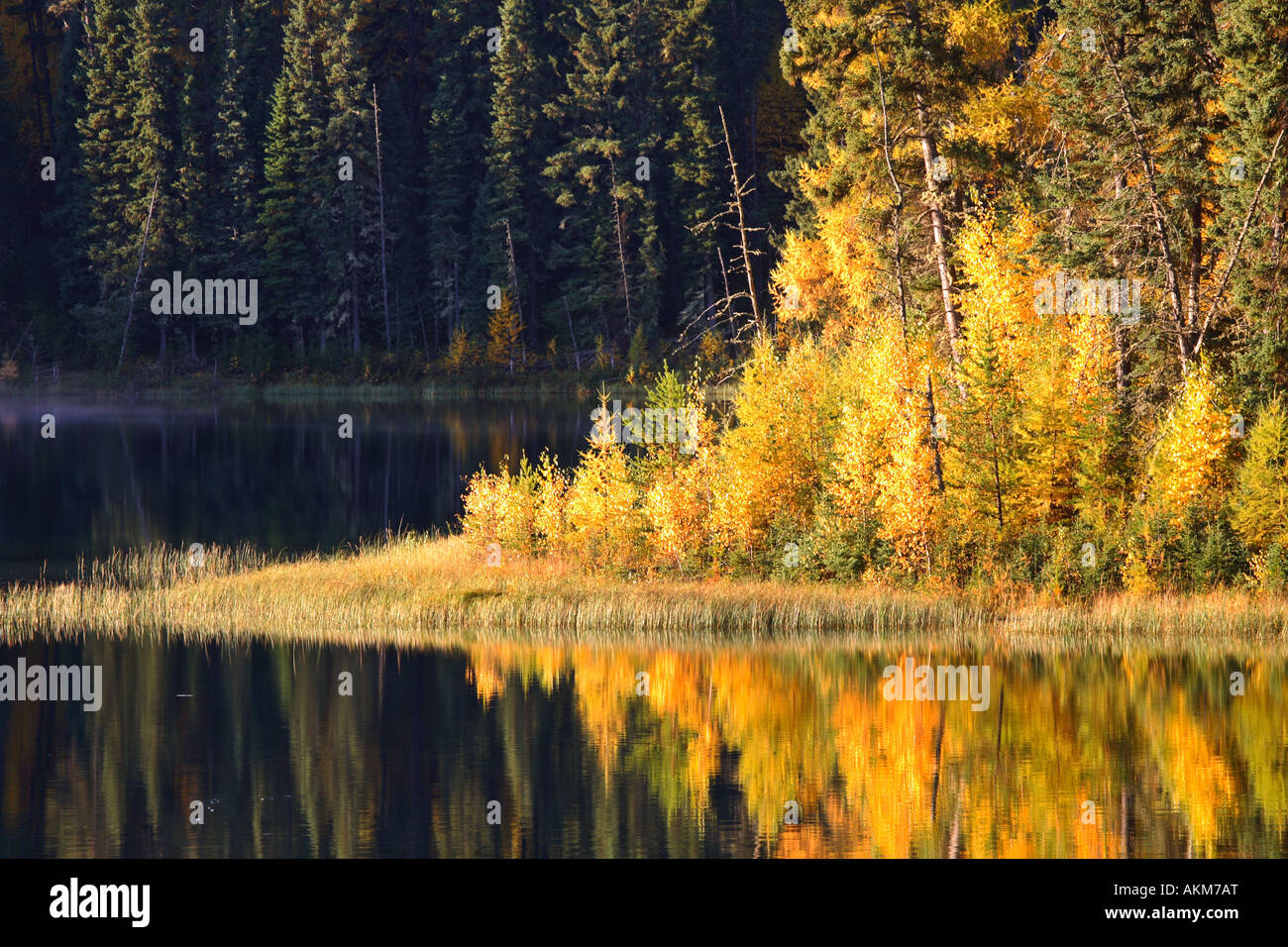 Water reflection at Jade Lake in Northern Saskatchewan Stock Photo - Alamy