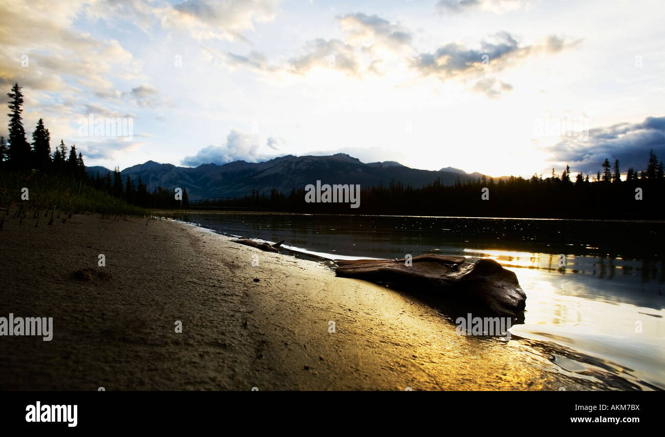 Natural stream bank hi-res stock photography and images - Alamy