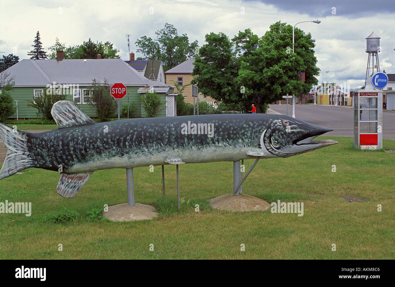 World s Largest Northern Pike Stock Photo - Alamy