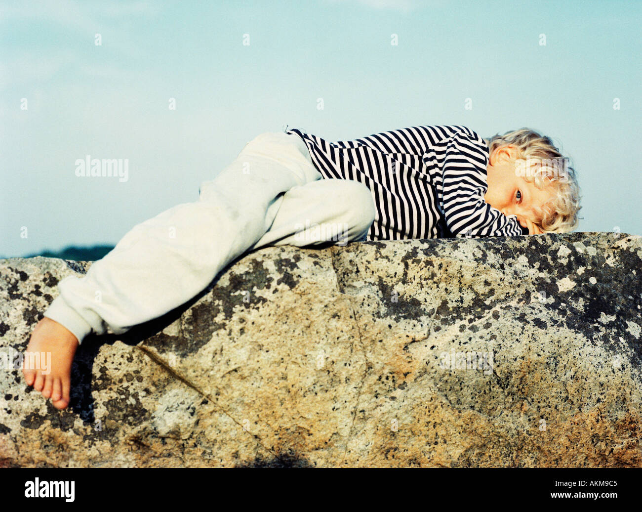 a human seal Stock Photo - Alamy