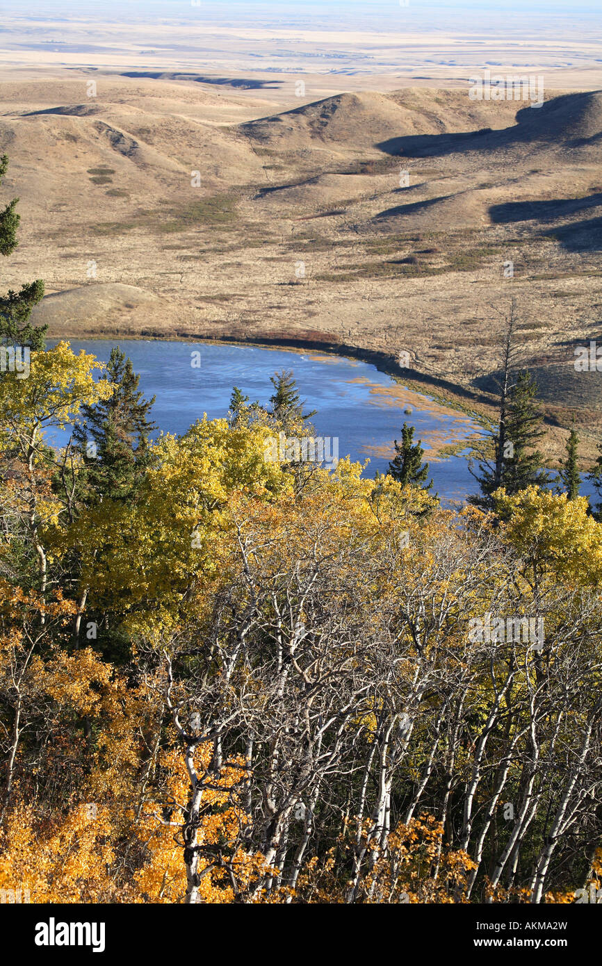 Reesor Lake Alberta in fall Stock Photo - Alamy
