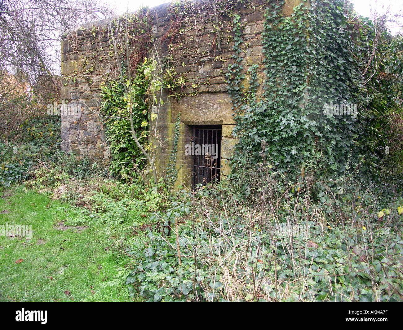 Alvecote Priory Ruins. The remains of the ivy clad dovecote or dovecot ...