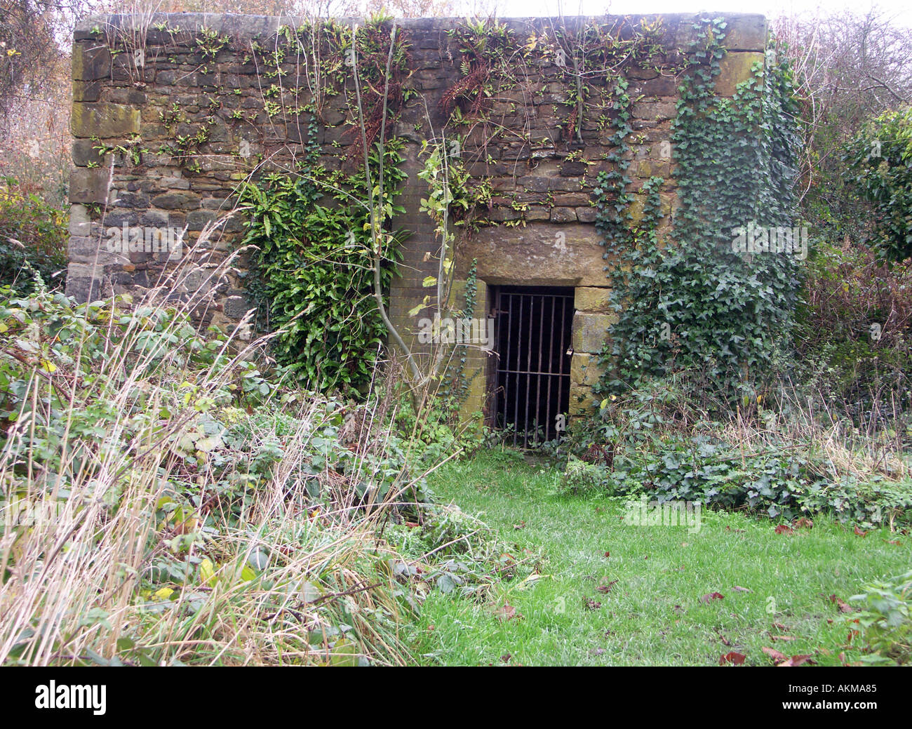 Alvecote Priory Ruins. The remains of the ivy clad dovecote or dovecot ...