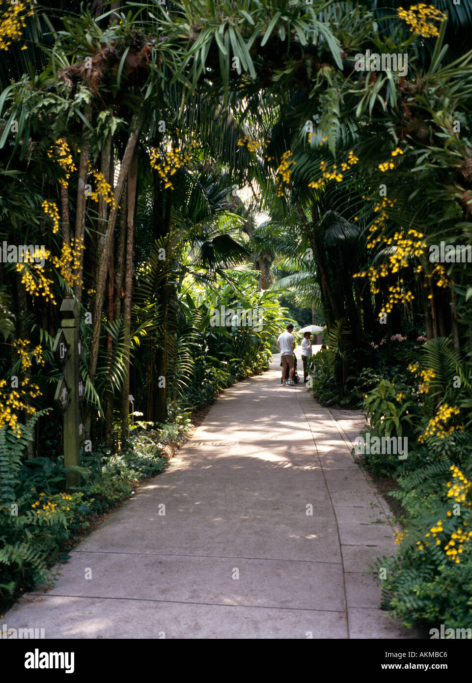 Singapore botanic gardens exercise hi-res stock photography and images ...