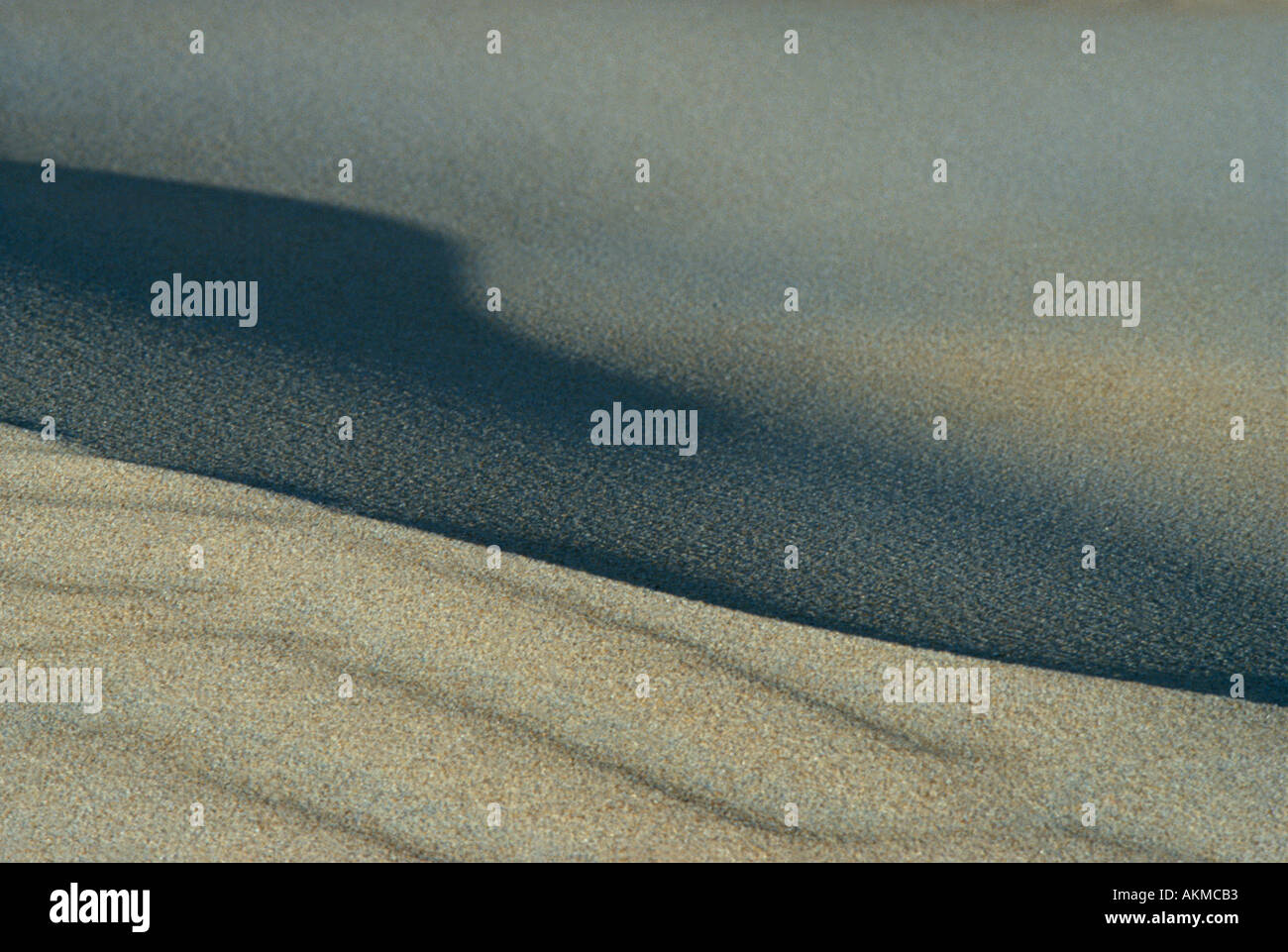 Brazilian beach sand under strong sunlight with curvy abstract shadow ...