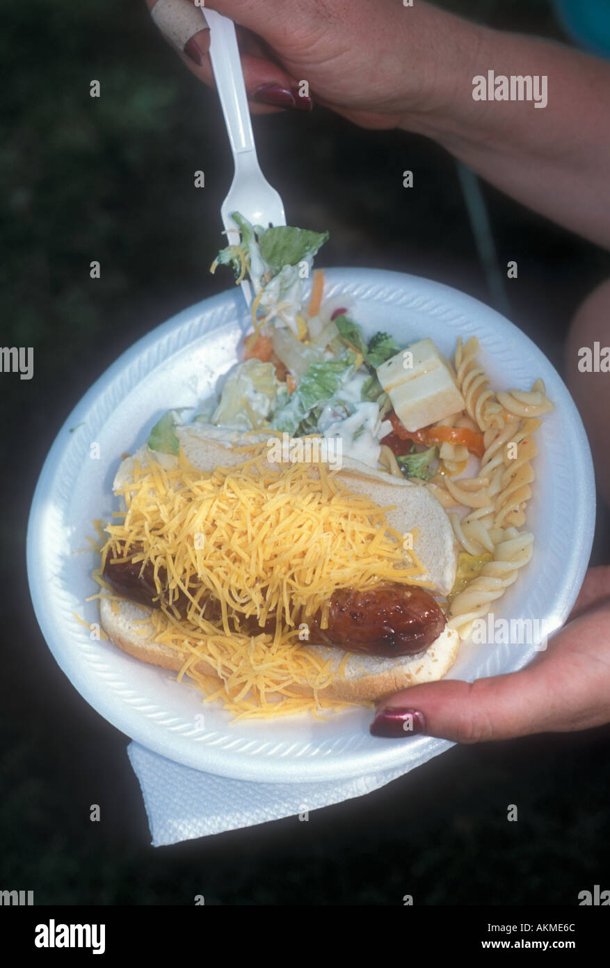 Food on Paper Plate Stock Photo - Alamy