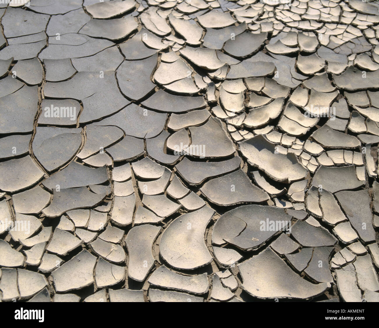 Drought mud puddle hi-res stock photography and images - Alamy