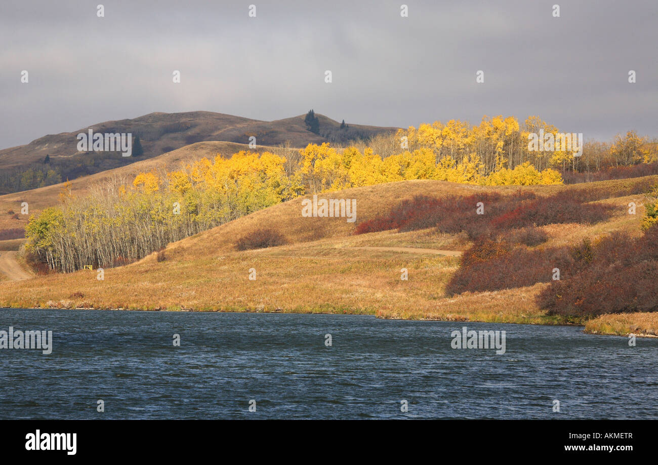 Reesor Lake Alberta in fall Stock Photo - Alamy