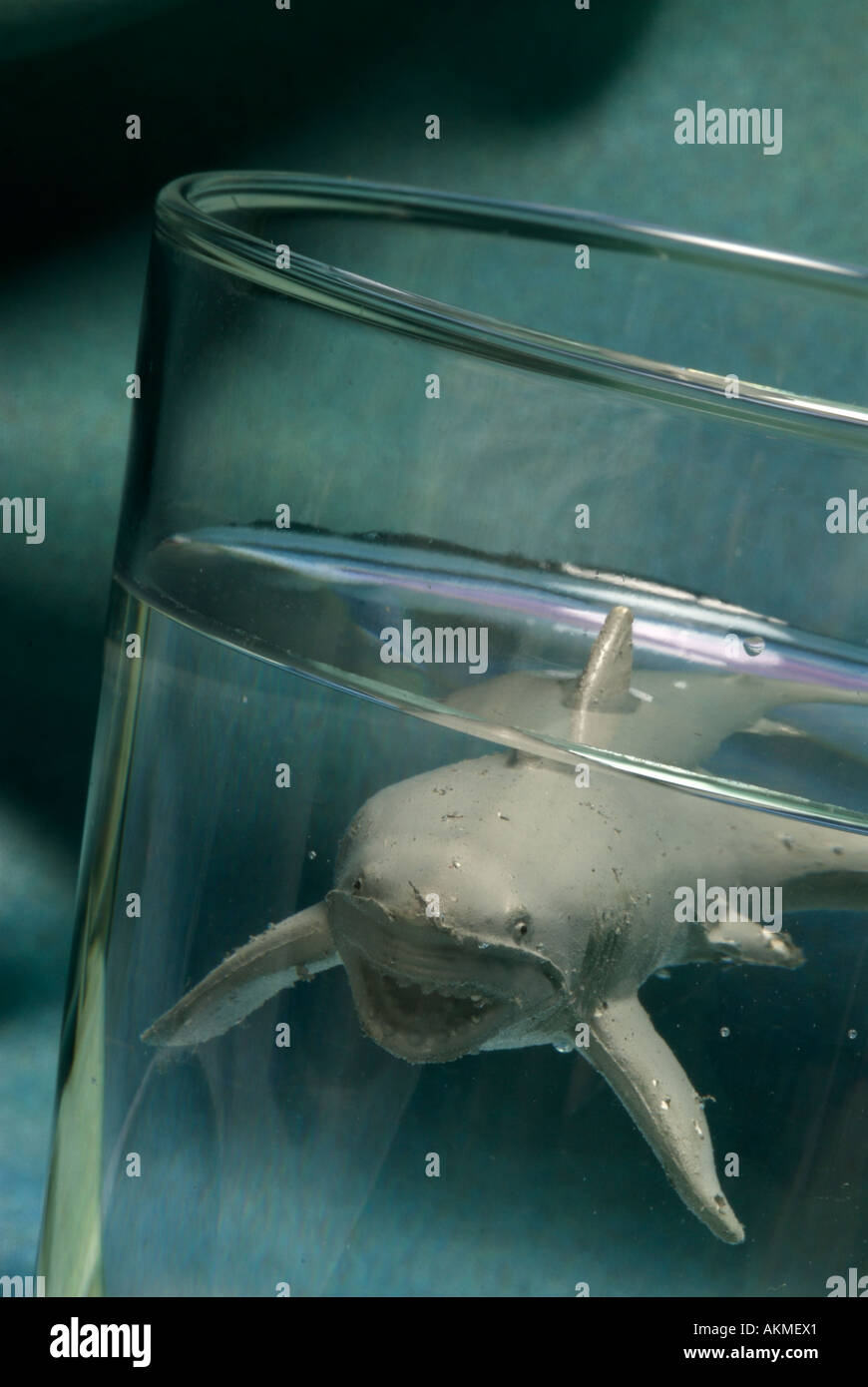 A small toy shark in a drinking glass filled with water Stock Photo - Alamy