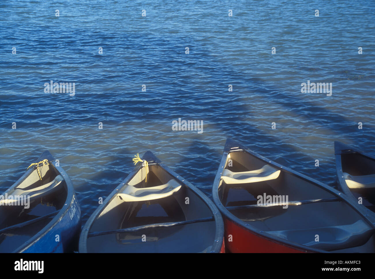 Canoe ride in front hi-res stock photography and images - Alamy