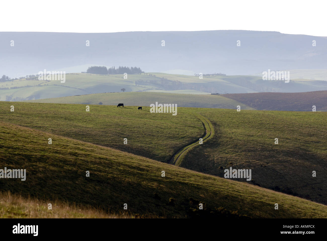 English welsh border on offas dyke hi-res stock photography and images ...