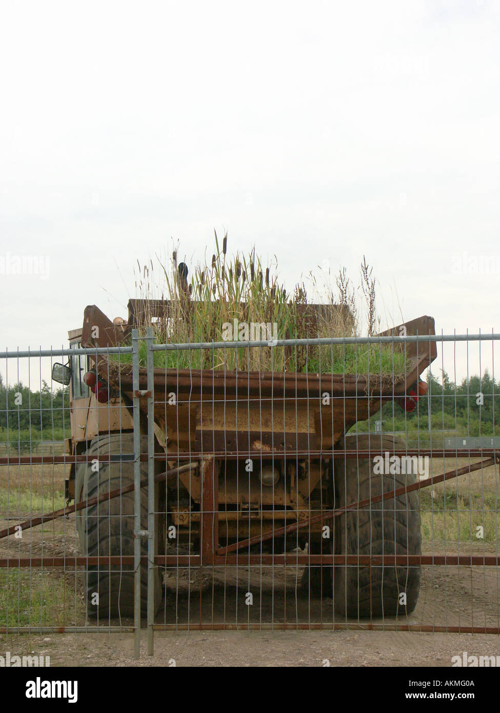 Bulrushes september hi-res stock photography and images - Alamy
