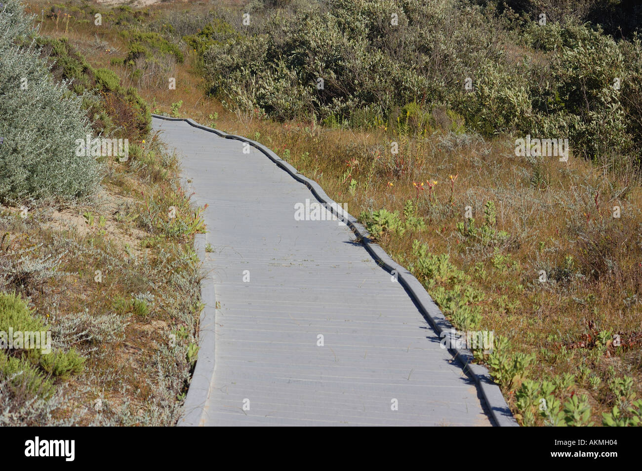 Oso Flaco Lake Nature Preserve Stock Photo - Alamy