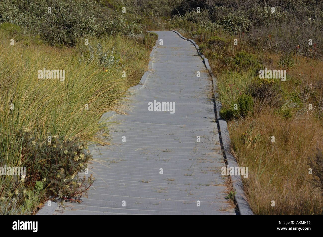 Oso Flaco Lake Nature Preserve Stock Photo - Alamy