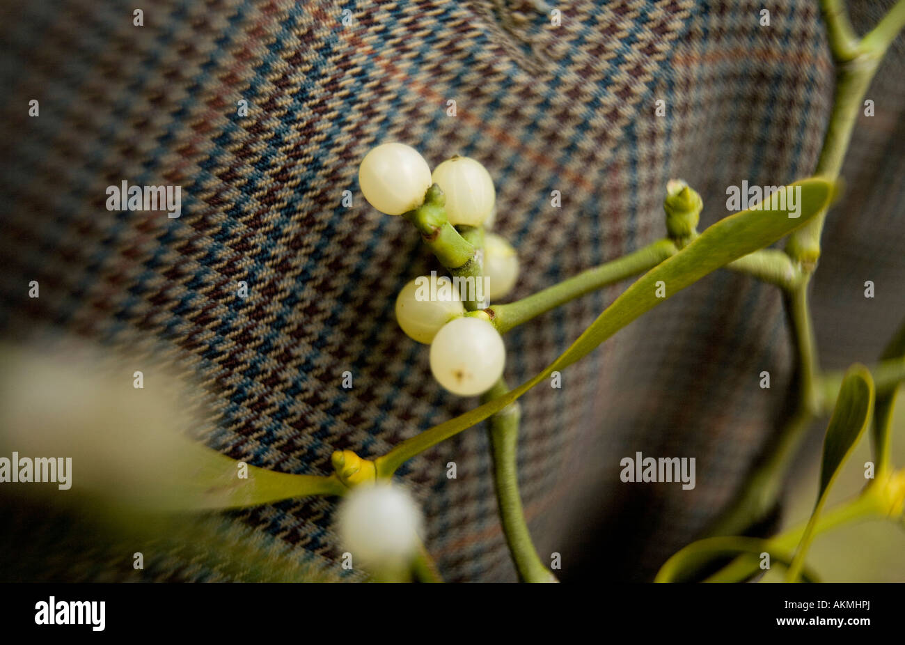 Stan yapp hi-res stock photography and images - Alamy