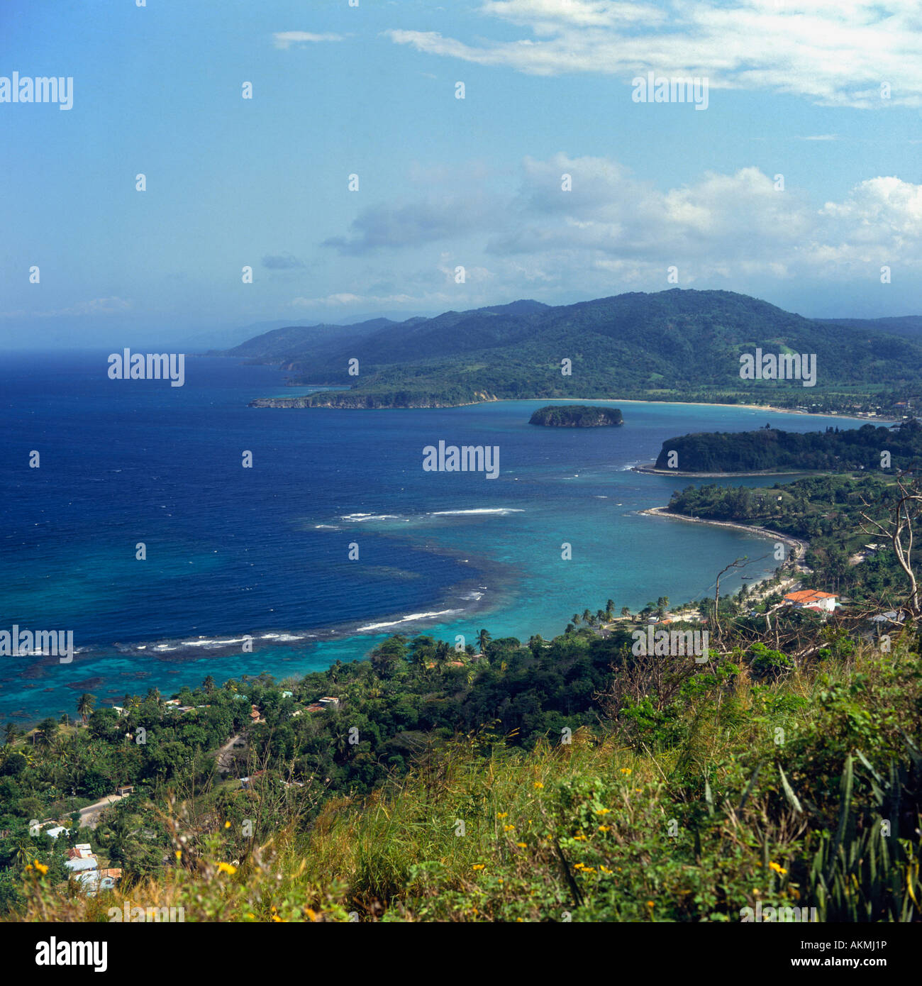 Firefly jamaica hi-res stock photography and images - Alamy