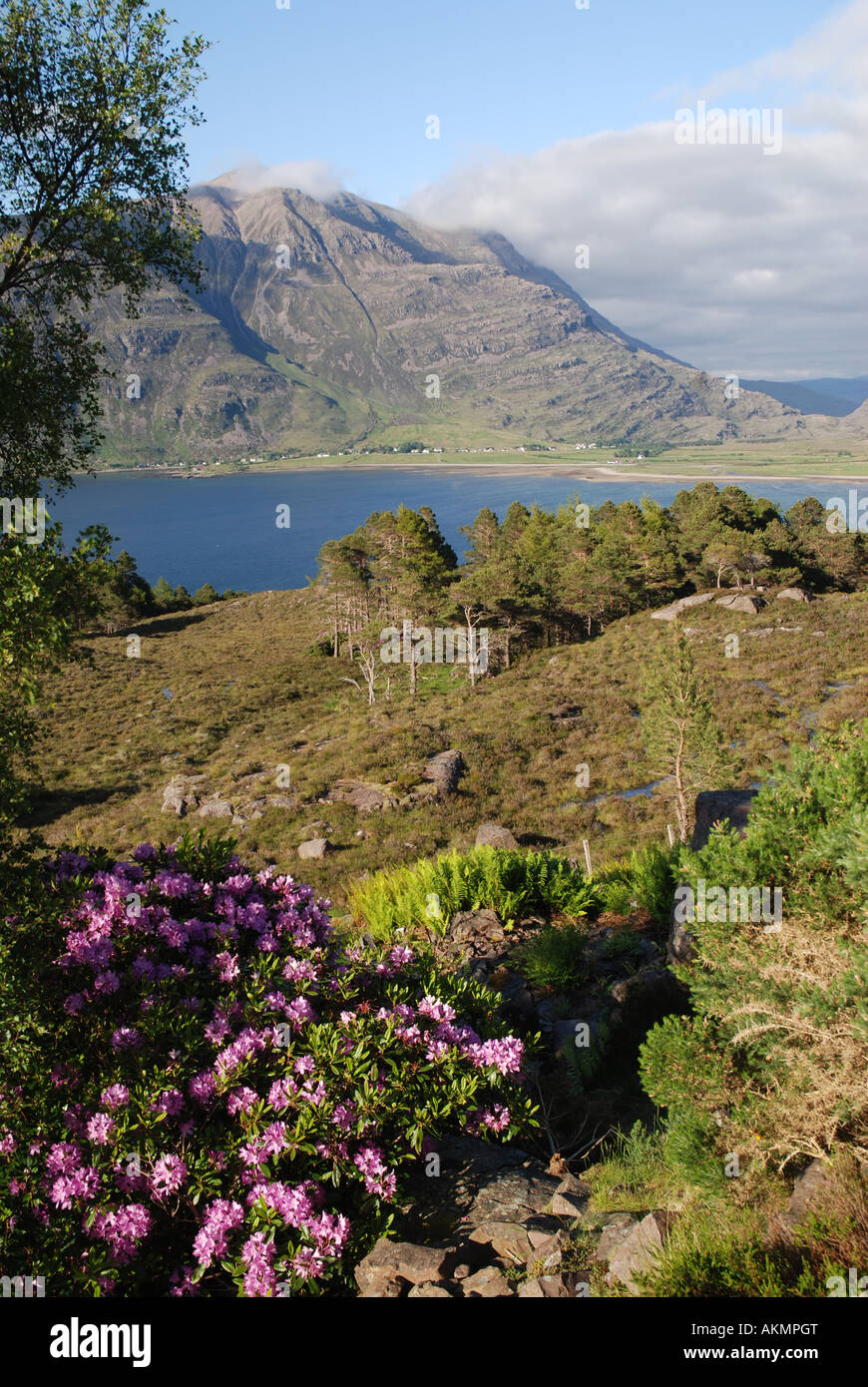 Ben Eighe Nature Preserve, Upper Loch Torridon, Highland Scotland Stock ...