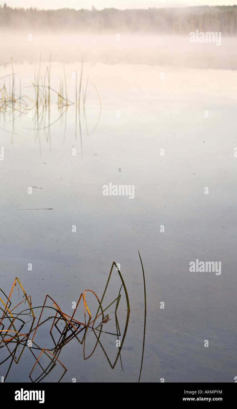 Morning fog over Waterhen River in scenic Saskatchewan Stock Photo - Alamy