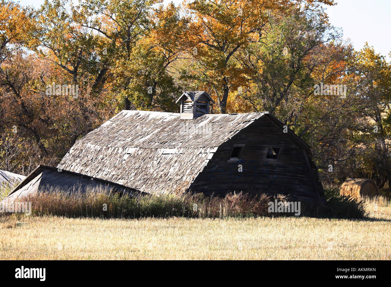 Collapsed barn in scenic Saskatchewan Stock Photo - Alamy