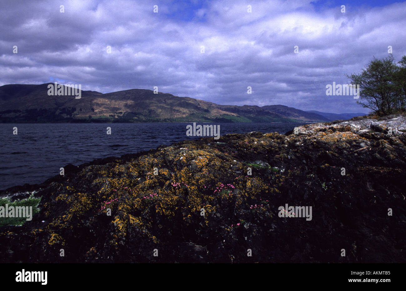 Pictish battle hi-res stock photography and images - Alamy