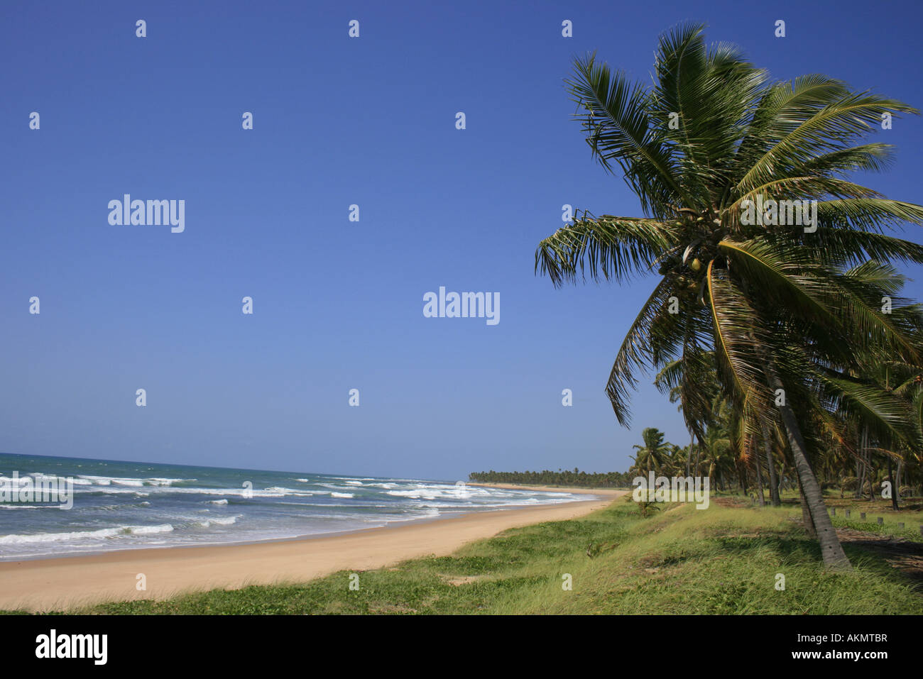 Brazil ocean coast hi-res stock photography and images - Alamy